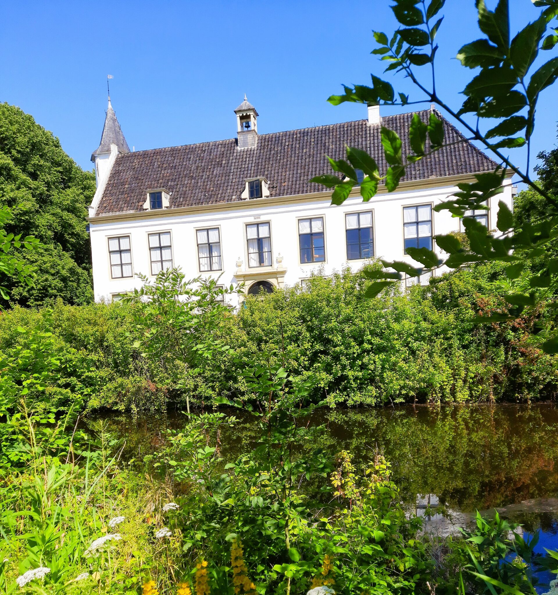 Kruidenwandeling Kasteel van Rhoon - Natuurlijkzeker